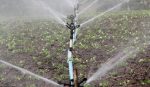 Irrigation Meaning | Irrigation Types | Irrigation Methods