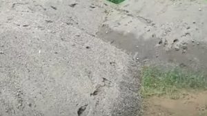 M Sand Vs River Sand - Application, Strength, Workability, Quality, Etc.