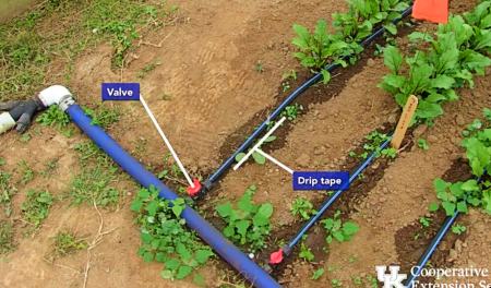 Advantages Of Drip Irrigation | Layout Systems Of Drip Irrigation