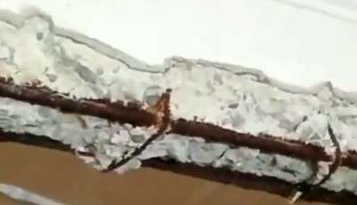 Spalling Of Concrete | Effects, Causes And Preventions