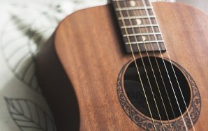 What Is Timber? Types, Uses, Advantages, Disadvantages