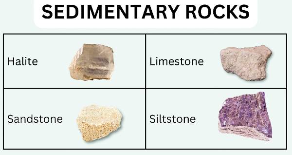 All 3 Classification Of Rocks | Building Materials